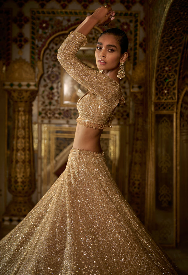 Champagne Sequin Lehenga Set | Seema Gujral – KYNAH